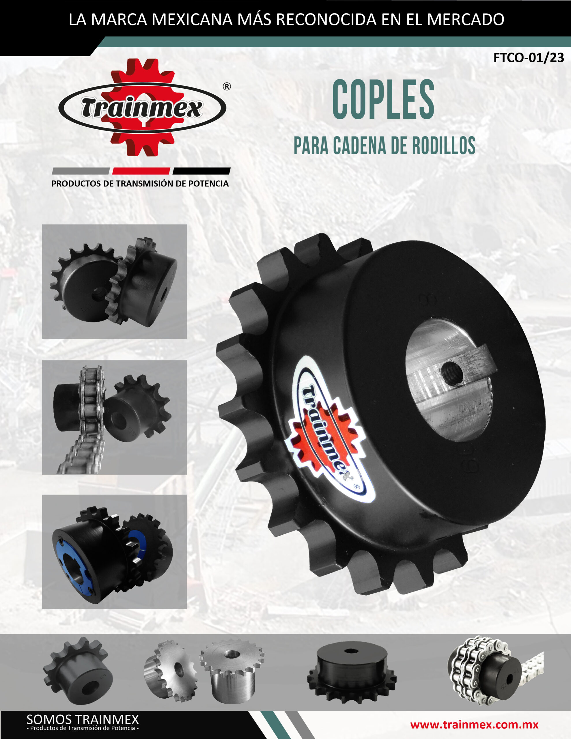 Recursos – Trainmex